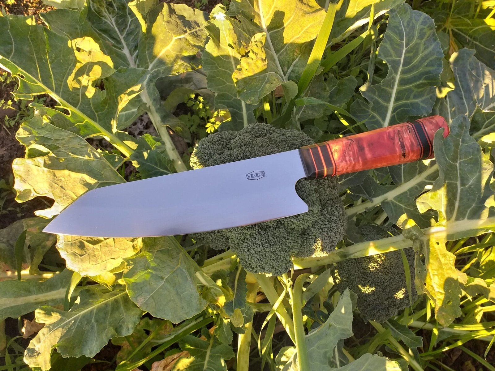 Japanese Style Kitchen Knife - Branco Customs