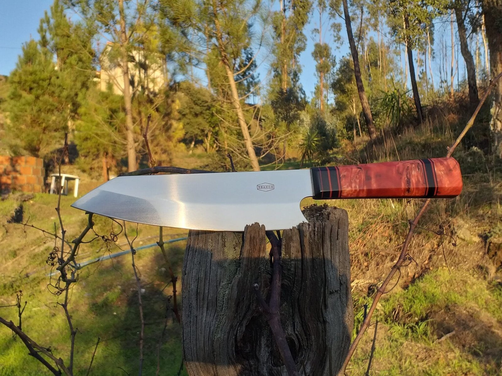Japanese Style Kitchen Knife - Branco Customs